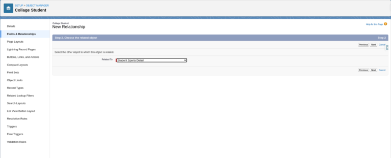Salesforce Objects 101 A Comprehensive Handbook Arrify