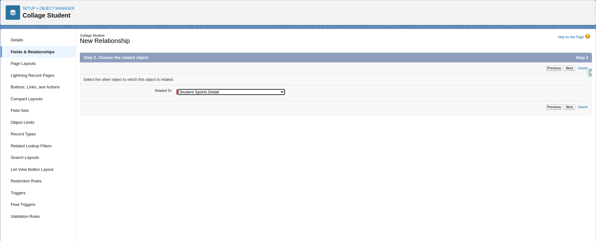 Salesforce Objects 101: A Comprehensive Handbook | Arrify