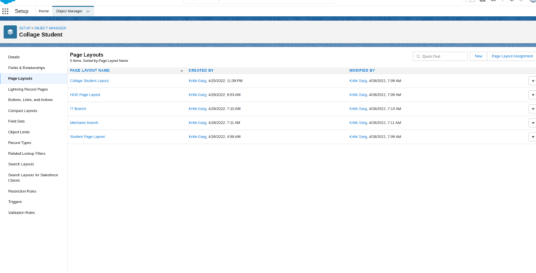 Salesforce Objects 101: A Comprehensive Handbook | Arrify