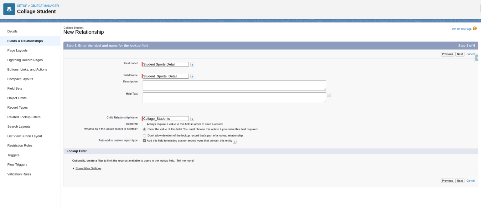 Salesforce Objects 101: A Comprehensive Handbook | Arrify