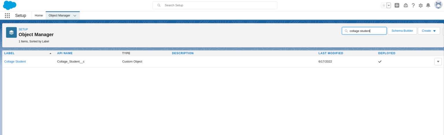 Salesforce Objects 101: A Comprehensive Handbook | Arrify