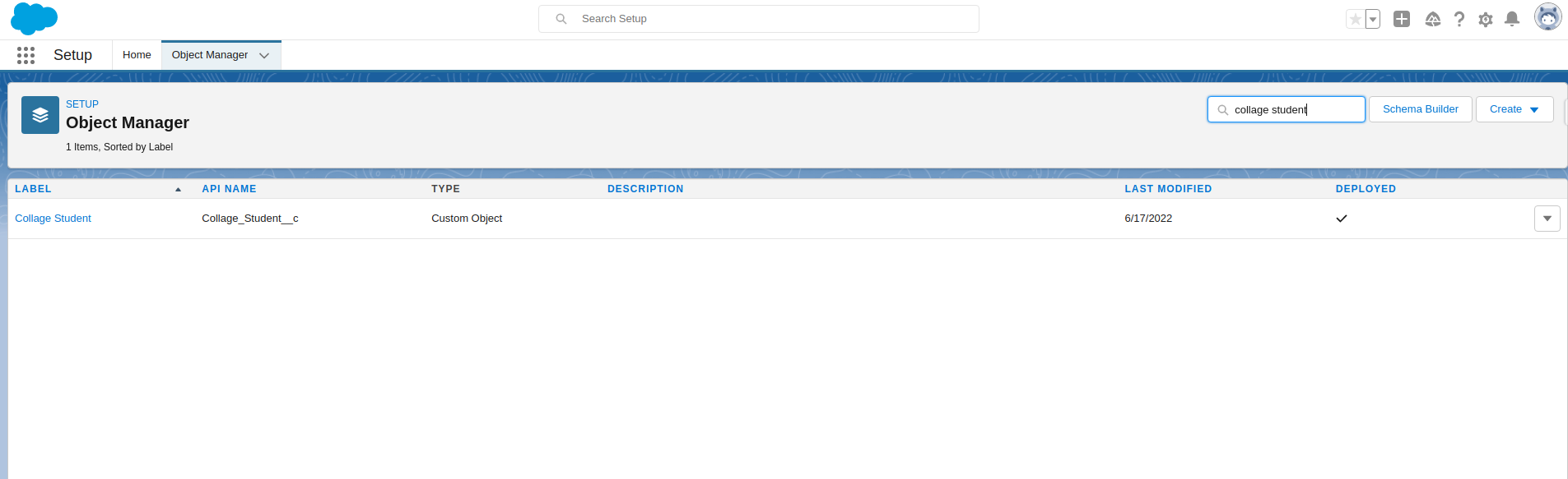 Salesforce Objects 101: A Comprehensive Handbook | Arrify